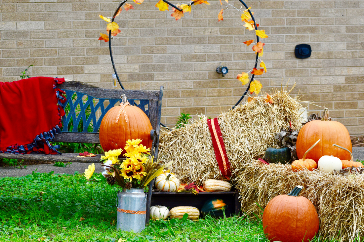 Autumn Activities For Early Years | eyworks
