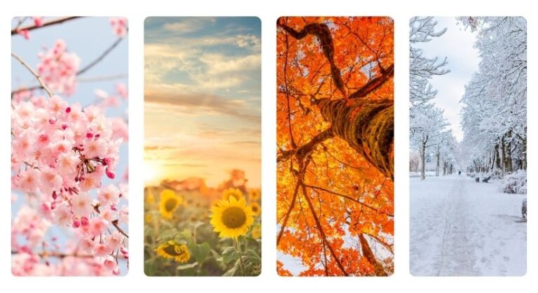 Exploring Seasons in Early Years Settings | eyworks