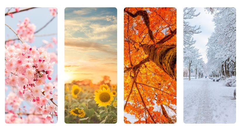 Exploring Seasons in Early Years Settings | eyworks