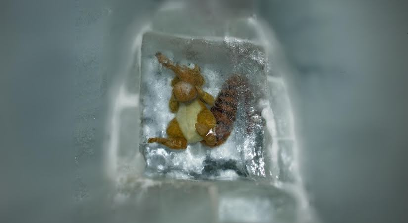 10 STEM Activities For Early Years | eyworks